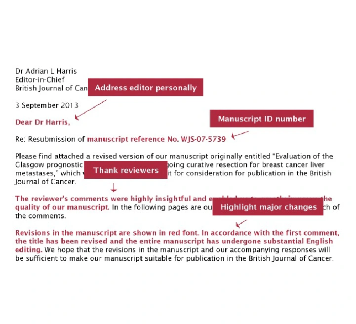 Best Dissertation Writing Services | PhD Assistance